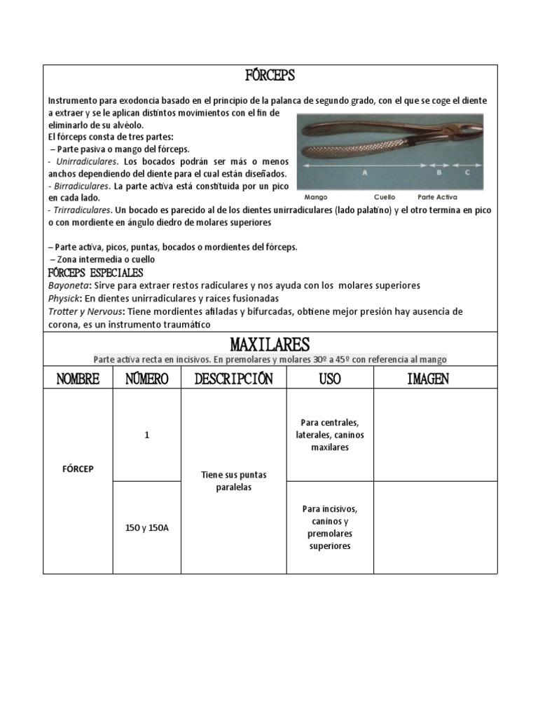 Uso y tipos de fórceps dentales | PDF | Diente | Ramas de Odontología