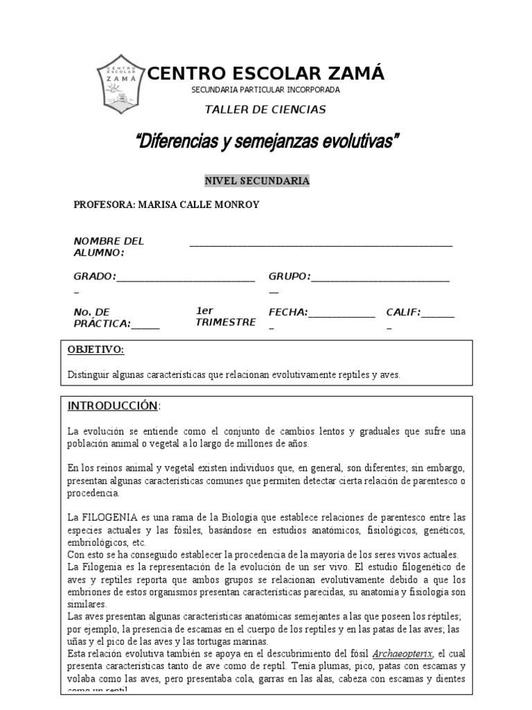 Filogenia: Reptiles y Aves en Secundaria | PDF | Filogenética | Evolución