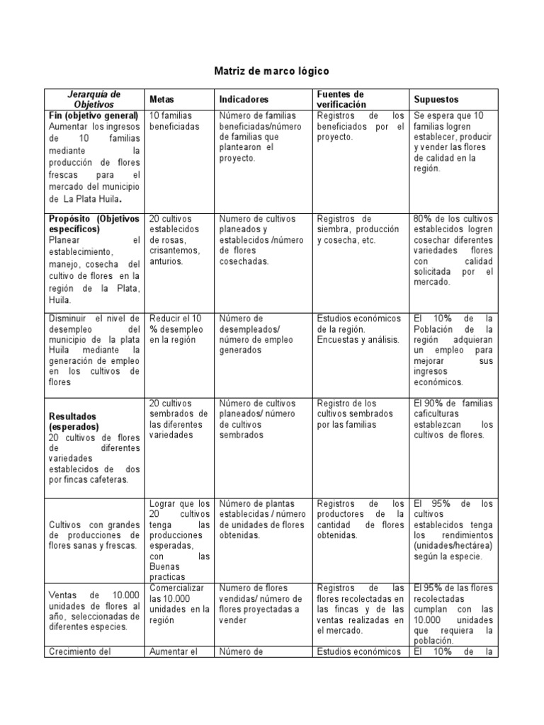 Matriz de Marco Logico | PDF | Desempleo | Ciencias sociales