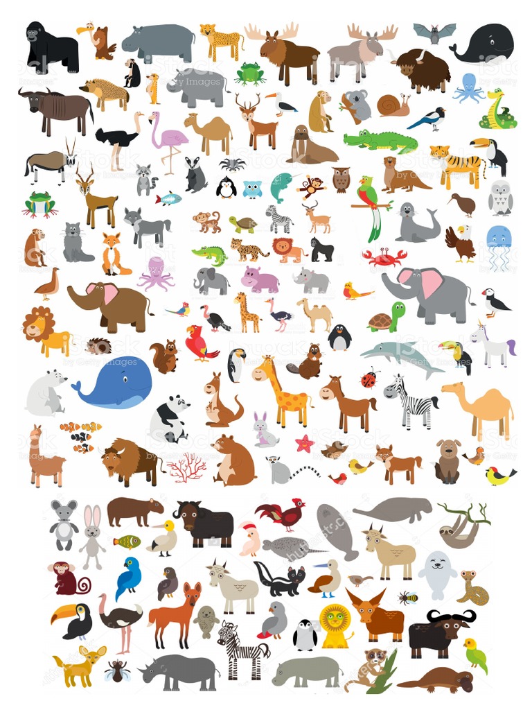 Animals Poster | PDF