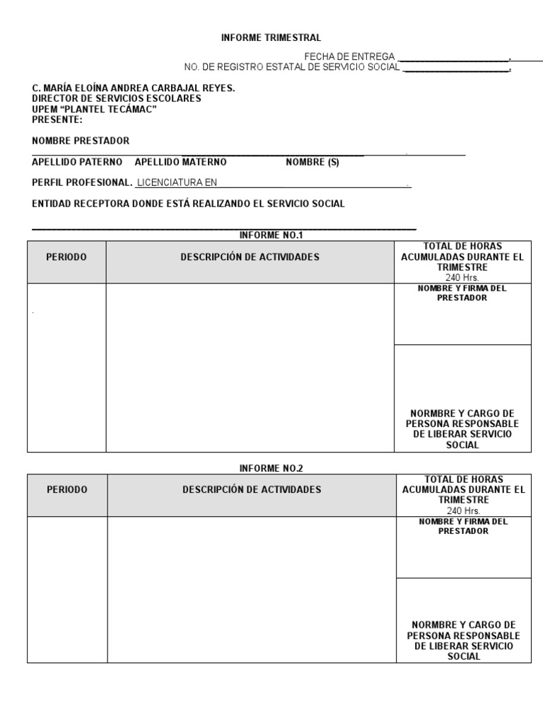 Formato Informe Trimestral | PDF | Business