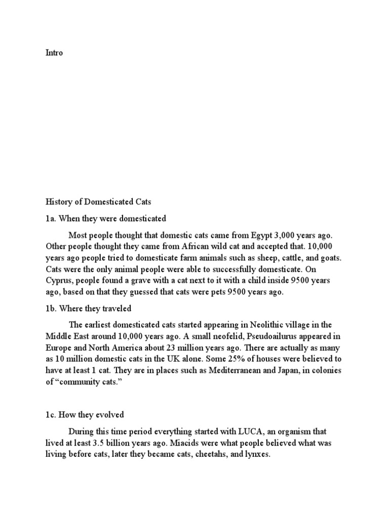 Domestic Cat Research Paper | PDF | Cats | Domestication