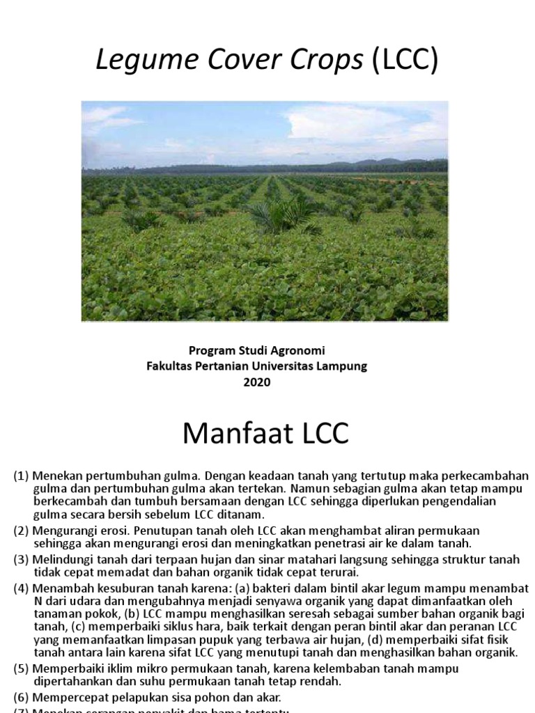 Legume Cover Crops (LCC) | PDF