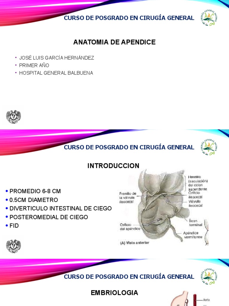 Anatomia Apendice | PDF