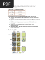 Klasifikasi Grabau | PDF