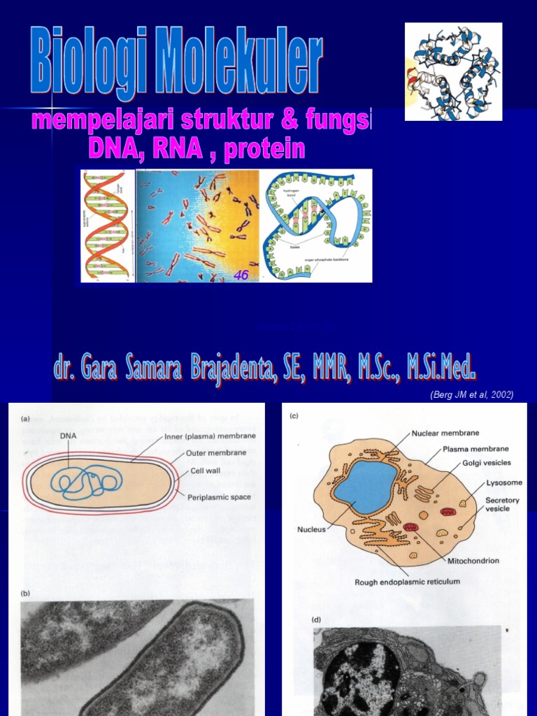 Konsep Dasar Biologi Molekuler | PDF | Rna | Messenger Rna