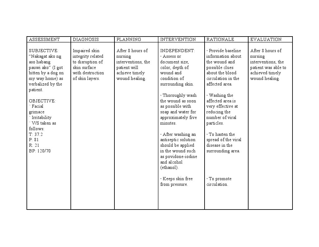 Rabies PJ NCP | PDF | Wound | Rabies