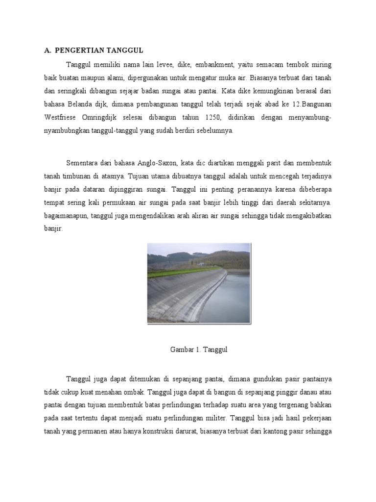 Pengertian dan Jenis Tanggul Sungai | PDF