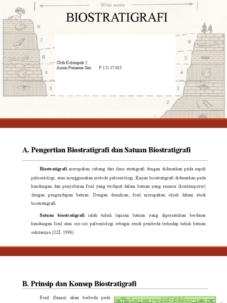 BIOSTRATIGRAFI | PDF