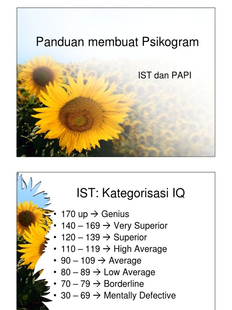 Panduan Membuat Psikogram Anak TK | PDF