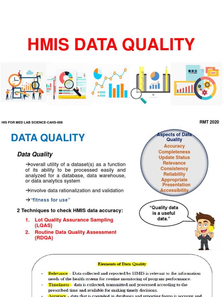 8-HMIS-DATA-QUALITY.pdf | Data Quality | Analysis