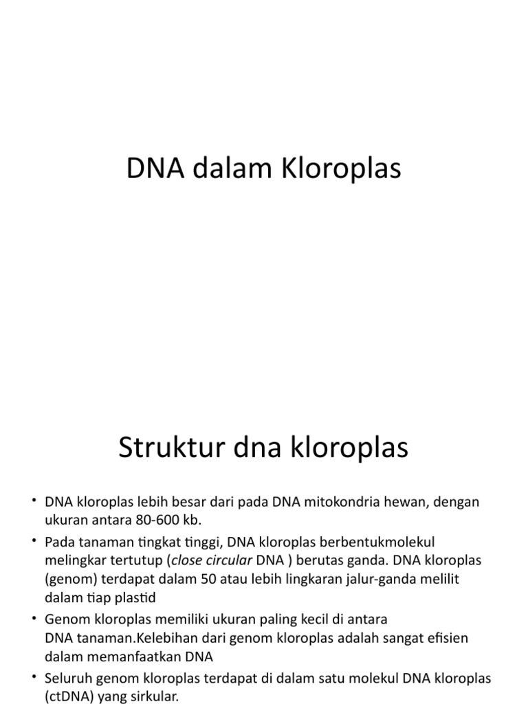 Struktur dan Fungsi DNA Kloroplas | PDF | Kesehatan Holistik | Sains ...