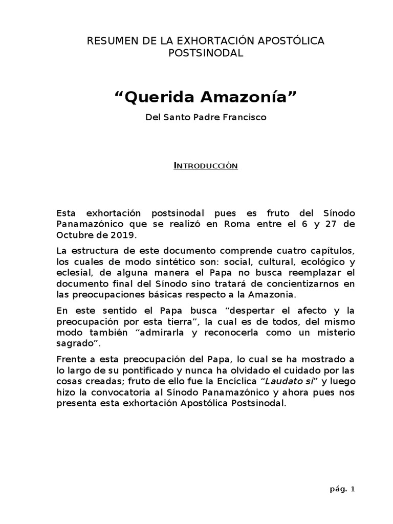 Resumen de La Exhortación Querida Amazonia | PDF | Sacerdote | Iglesia Católica