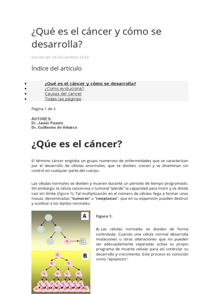 Que Es El Cancer y Como Se Desarrolla | PDF | Cáncer de pulmón | Cáncer
