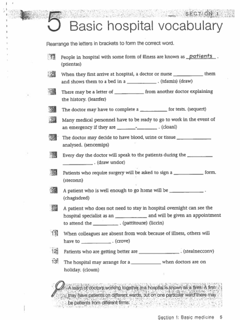 Ex 2. Basic Hospital Vocabulary | PDF