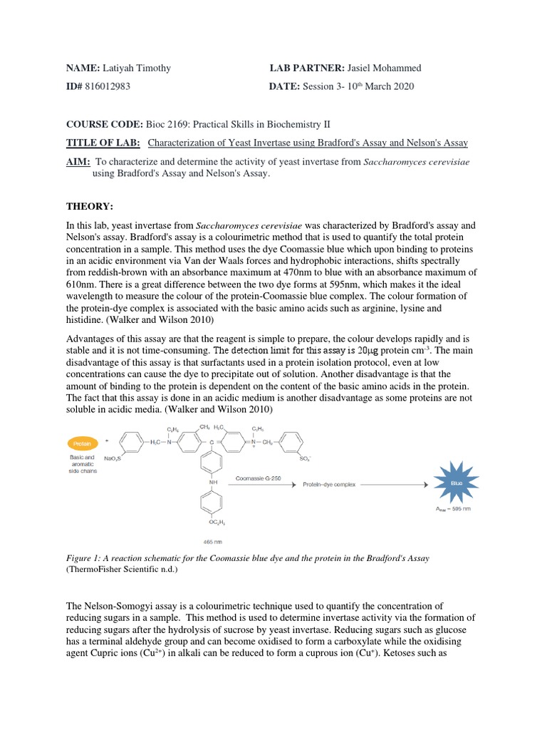 Yeast Invertase Activity Characterization | PDF | Enzyme Assay ...