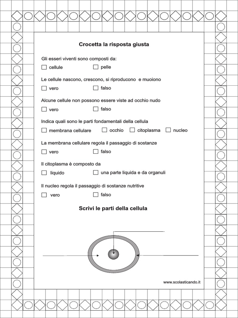 La Cellula Verifica PDF | PDF