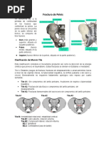 Clasificación de Seibert Los Defectos Del Reborde Alveolar | PDF