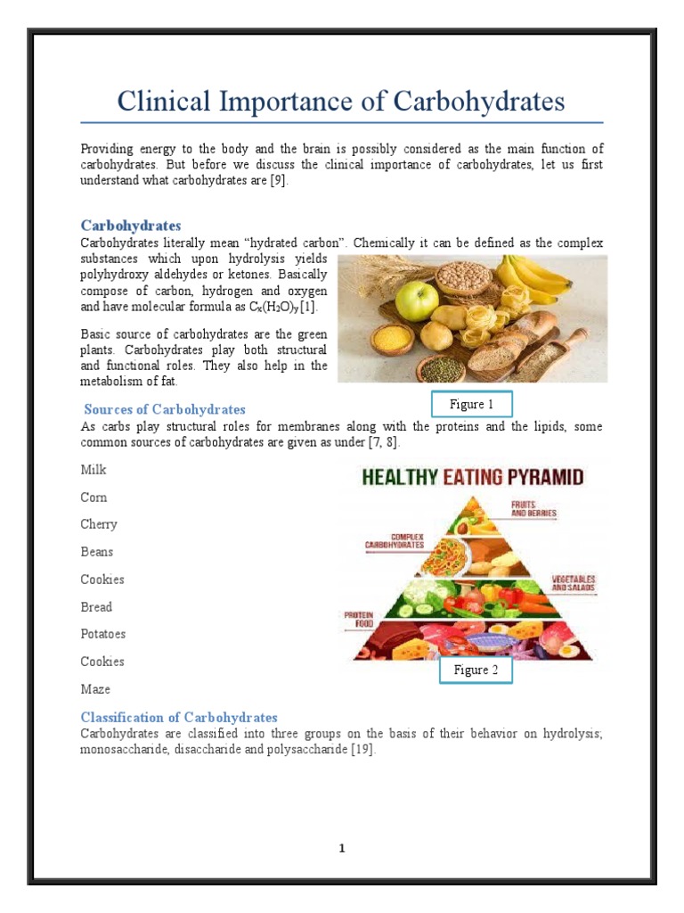 Carbohydrates Sources And Importance Understanding Carbs And Their