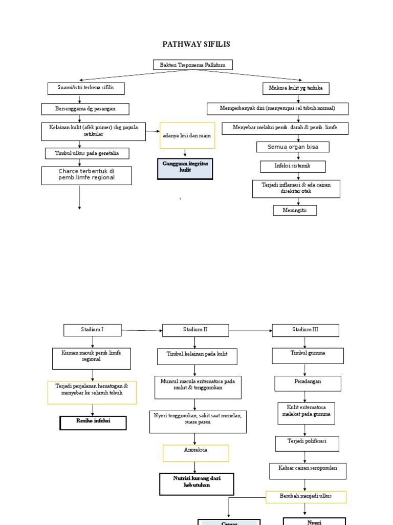 Pathway Sifilis | PDF