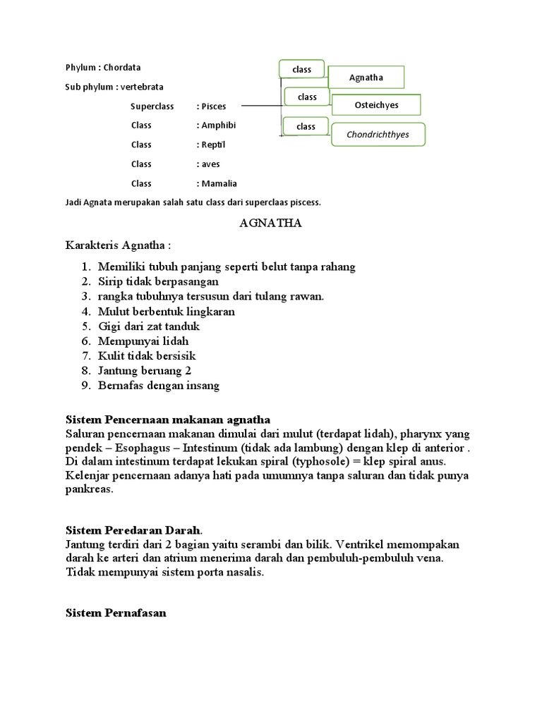 Agnatha Terbaru | PDF