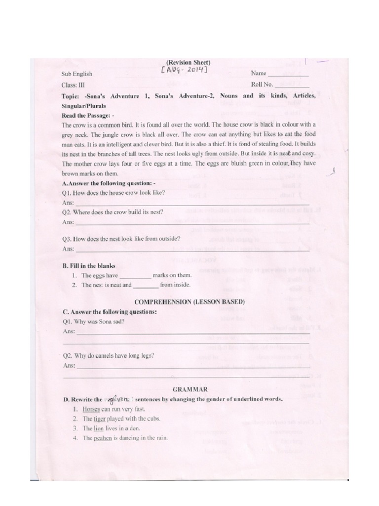 CBSE Class 3 English Practice Worksheets (56) - Revision PDF | PDF