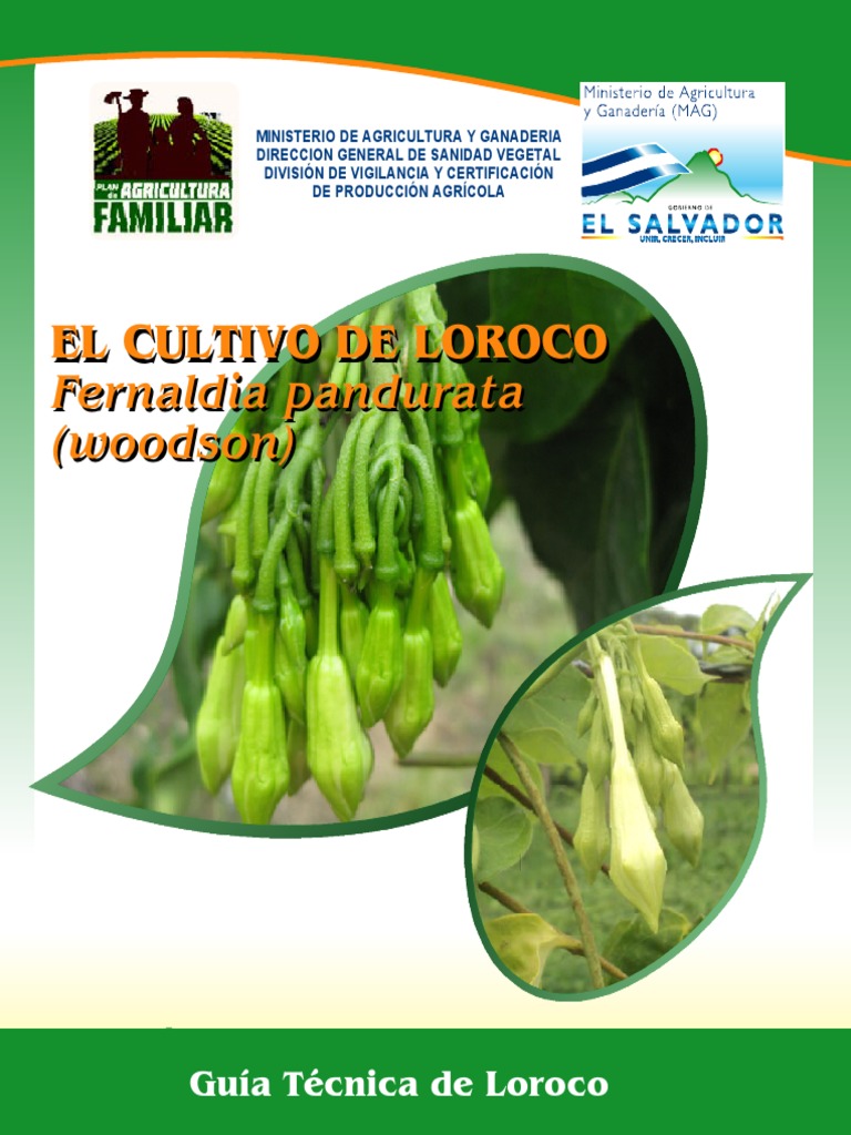 Guía Técnica para el Cultivo de Loroco | PDF | Control biológico de ...