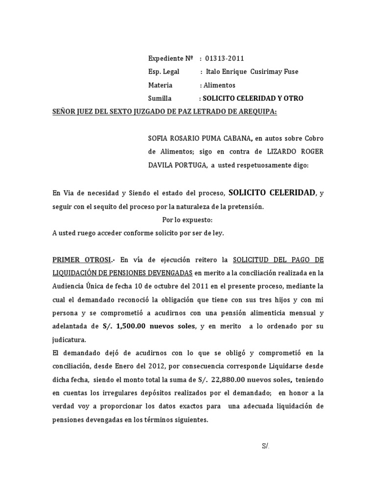 ESCRITO Celeridad PUMA CABANA Sofia | PDF | Gobierno | Justicia