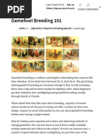Gmail - Gamefowl Conditioning and Pointing PDF | PDF | Oat | Rooster