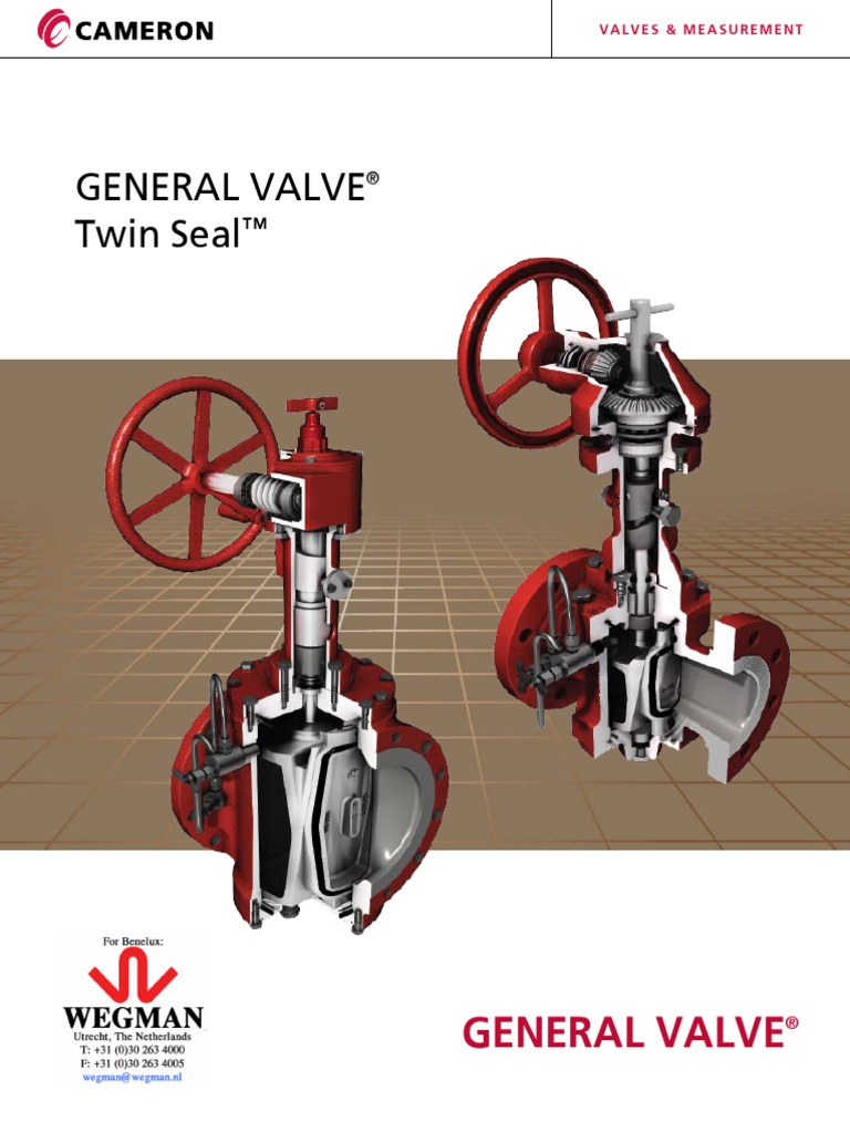WM - General TwinSeal DBB Valve | PDF | Valve | Leak