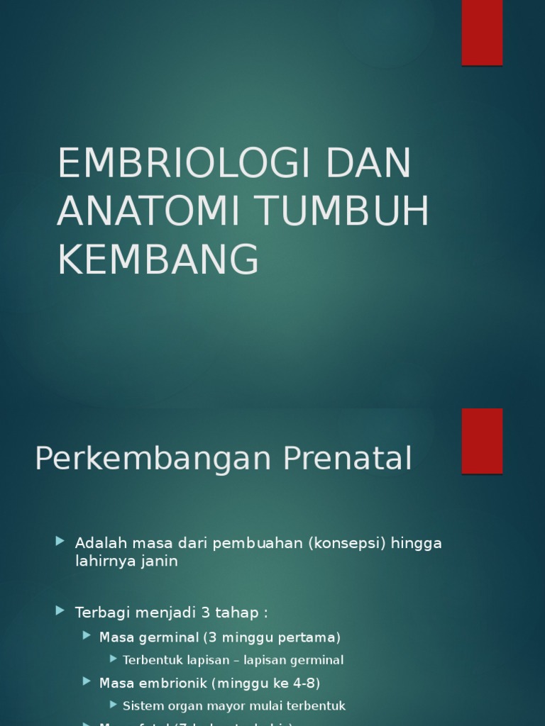 Embriologi Dan Anatomi Tumbuh Kembang | PDF