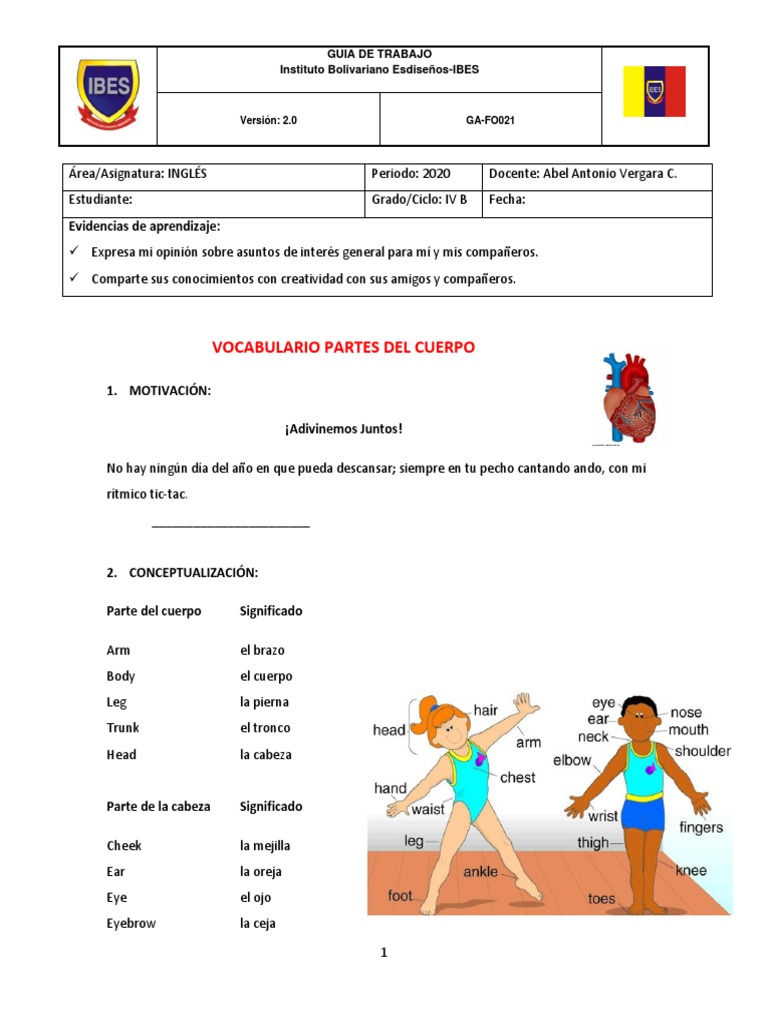 2 Corte Ciclo Iv B Guia de Trabajo 7 Partes Del Cuerpo | PDF | Anatomía ...
