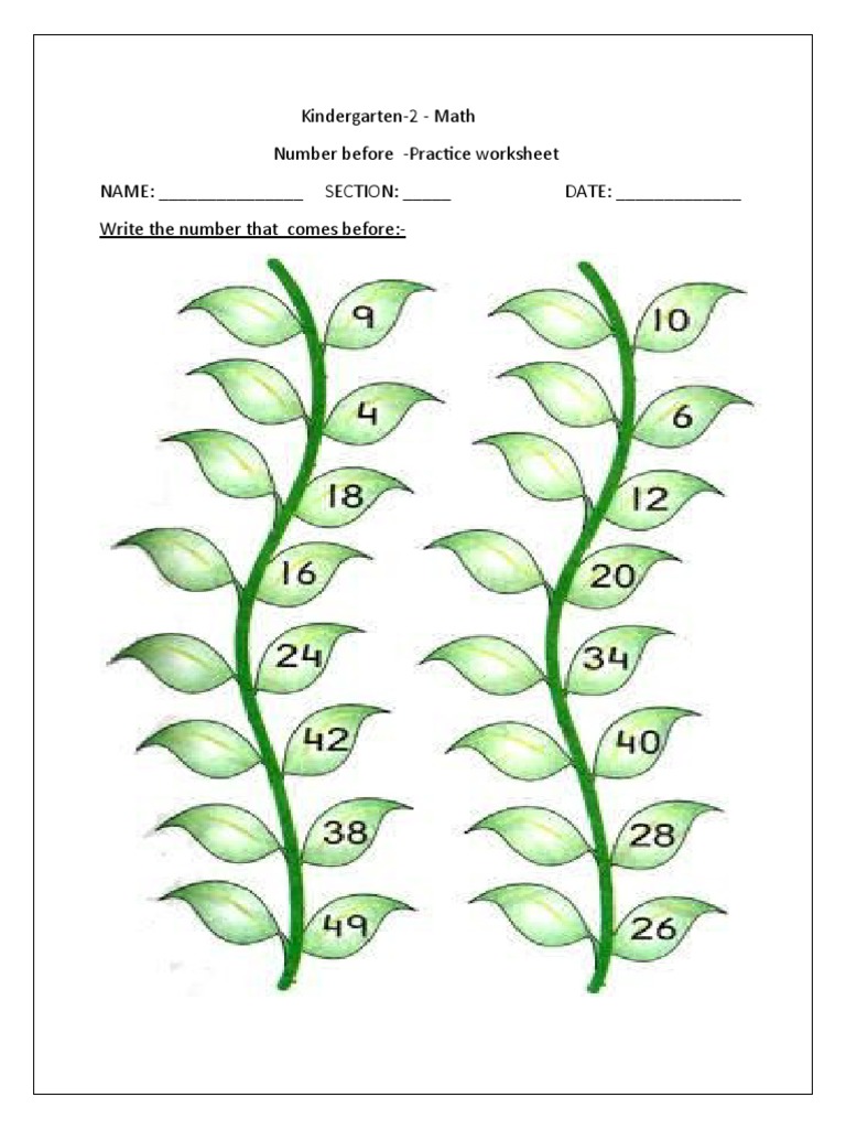 Before Numbers Practice Worksheet | PDF