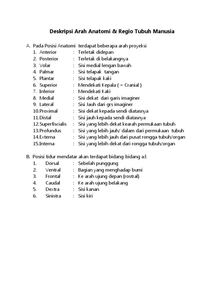 Regio Tubuh Manusia Deskripsi Arah Anatomi PDF | PDF