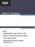 Kostur Čovjeka | PDF