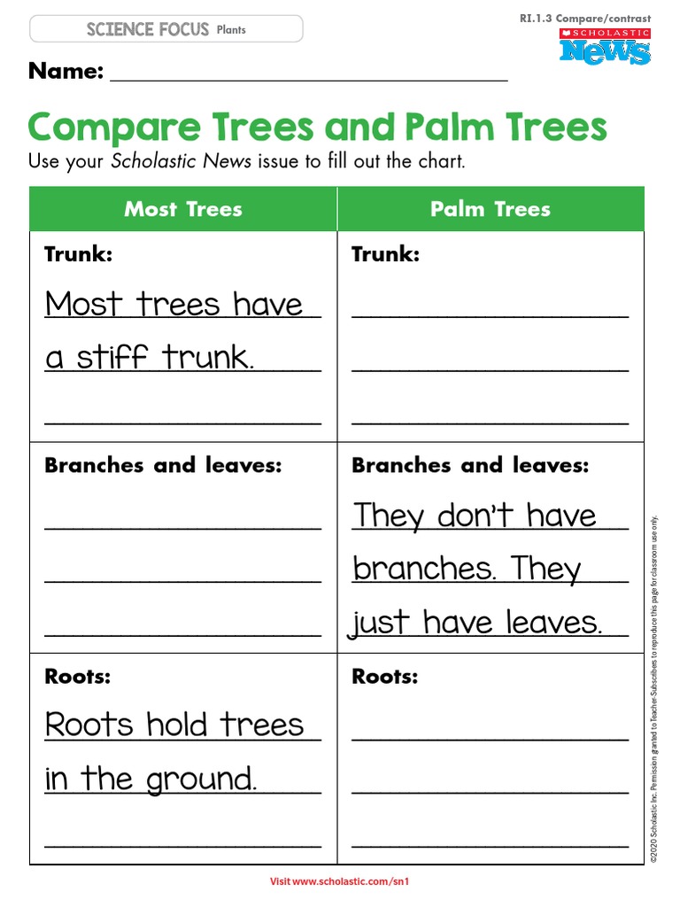 Palm Trees Compare and Contrast | PDF