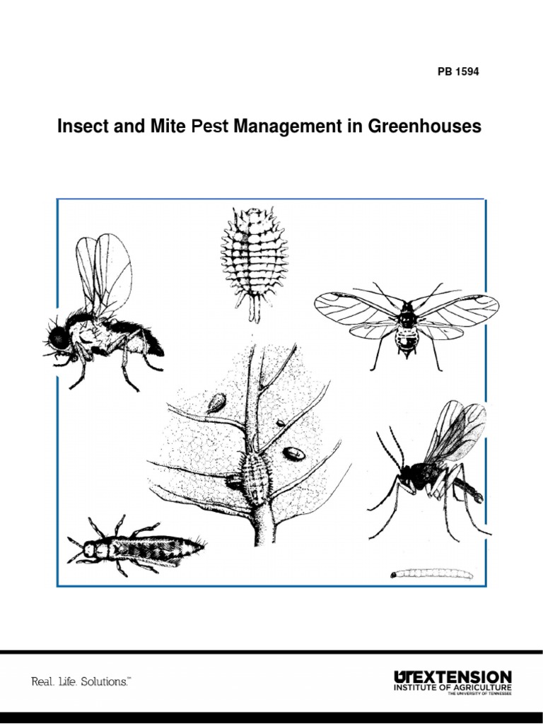 Insect and Mite Pest Management in Greenhouses | PDF | Biological Pest ...