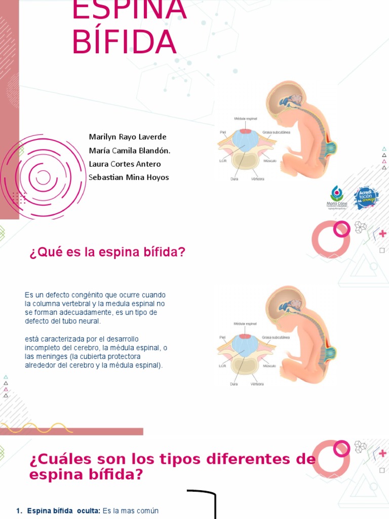 Espina Bifida | PDF | Enfermedades y trastornos humanos | Desórdenes neurológicos