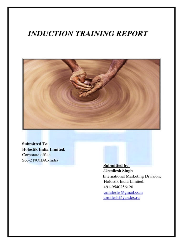 Induction Report PDF | PDF | Holography | Materials