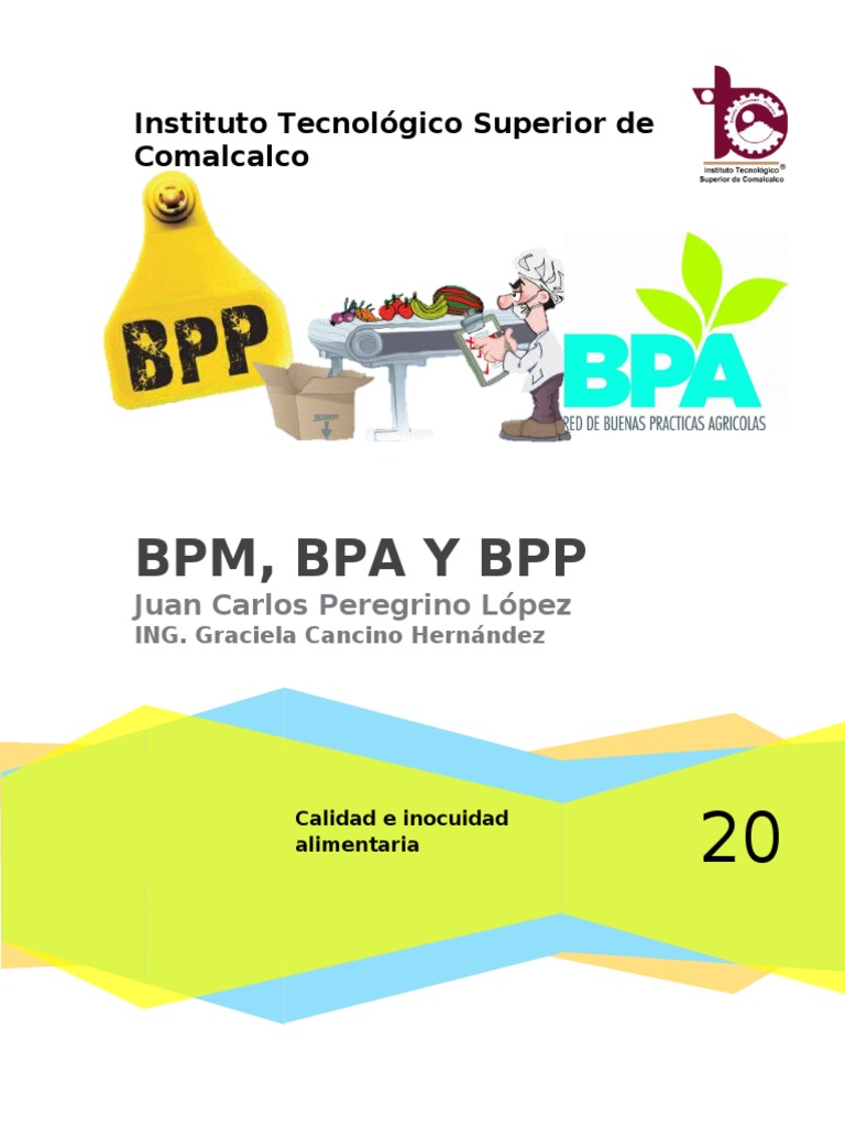 reporte de investigacion BPM, BPA Y BPP | Análisis de Riesgo y Puntos ...