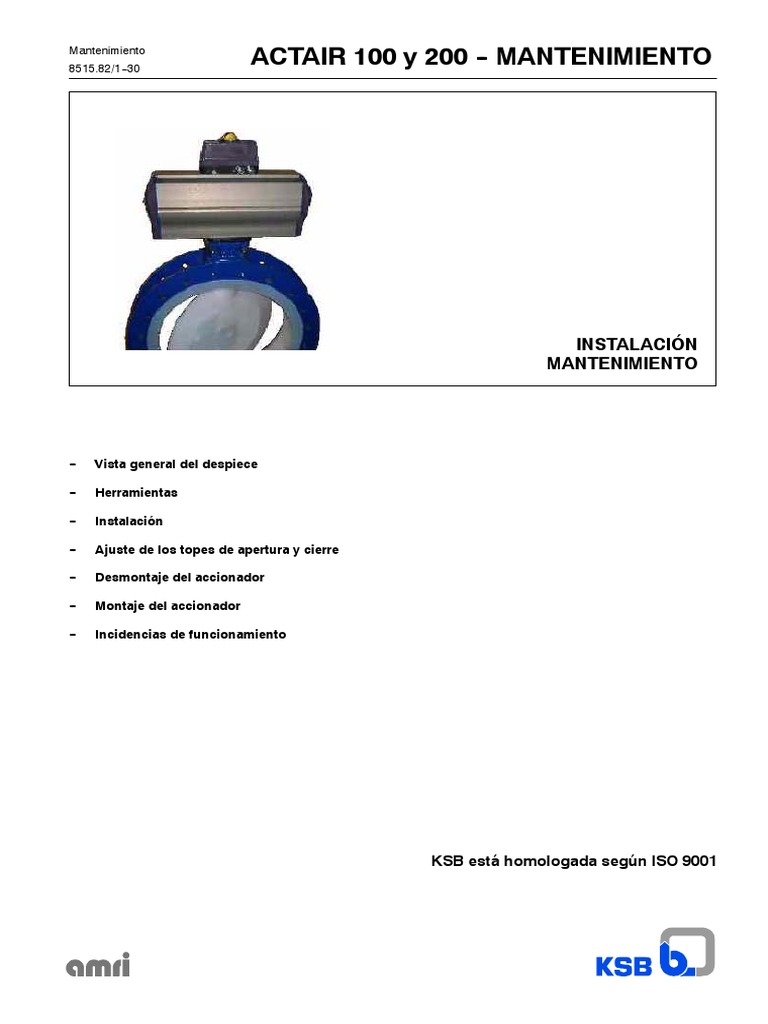 Maintenance - ACTAIR 100 - 200 | PDF | Neumática | Tornillo