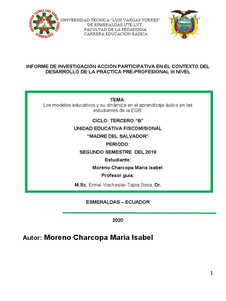 Informe de IAP Prácticas Preprofesionales 3ro B | PDF | Maestros | Aprendizaje