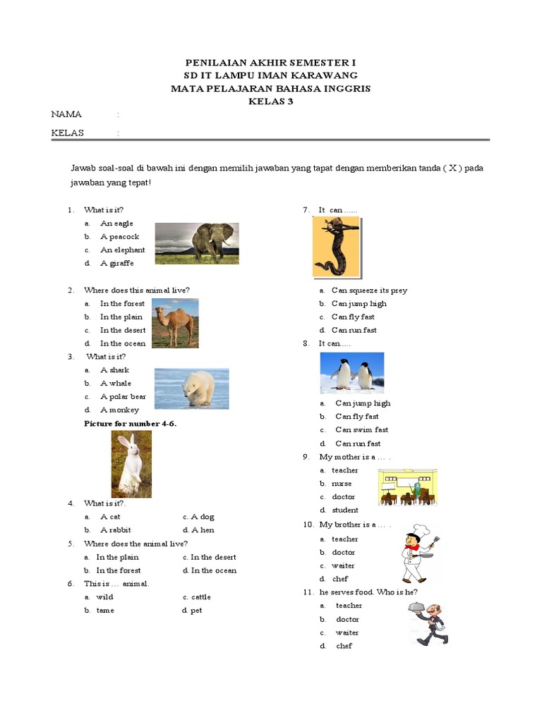 PAS Kelas 3 | PDF | Animals And Humans | Organisms