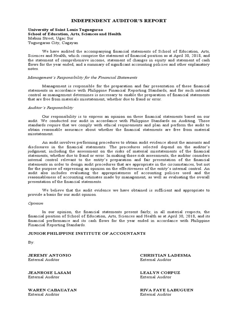 Independent Auditors Report | PDF | Financial Audit | Financial Statement