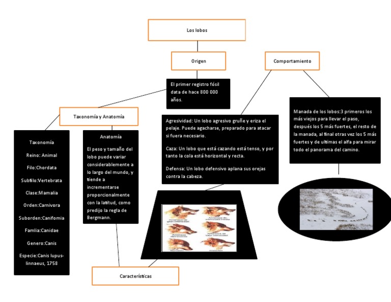 Mapa Los Lobos | PDF