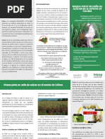 Mosca Pinta-1 | PDF | Control biológico de plagas | Plaga (organismo)