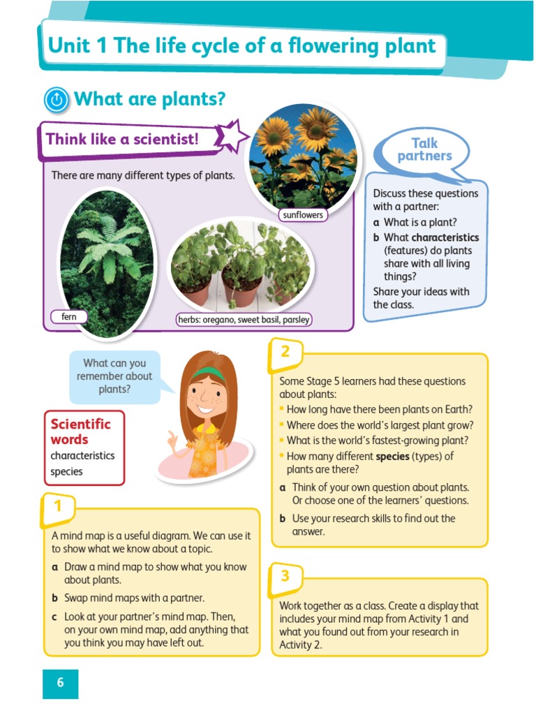 Project 1 Biology The Life Cycle of A Flowering Plant | PDF | Flowers ...