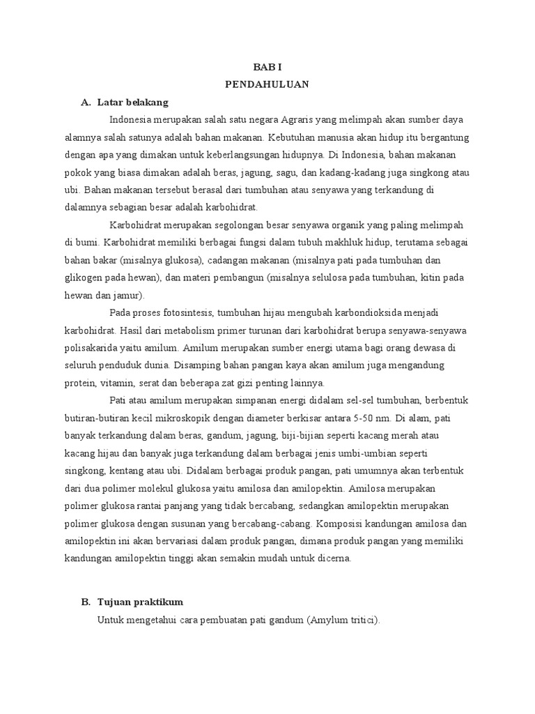 AMILUM | PDF | Sains & Matematika