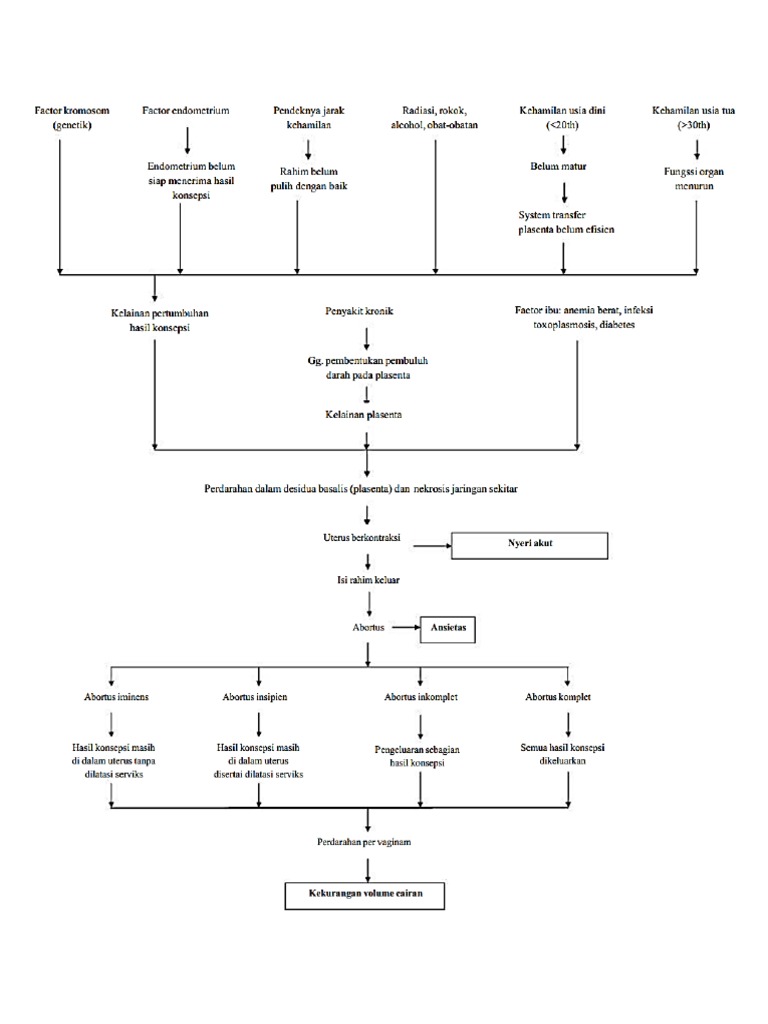Pathway Abortus PDF | PDF