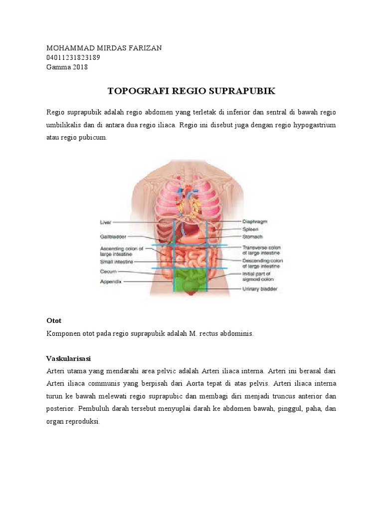 Li Topografi | PDF | Kesehatan Holistik